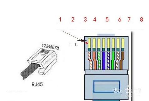 RJ45 Network Male Plug 8P8C to 4 Pin Screw Terminal Blocks RS485 Adapter